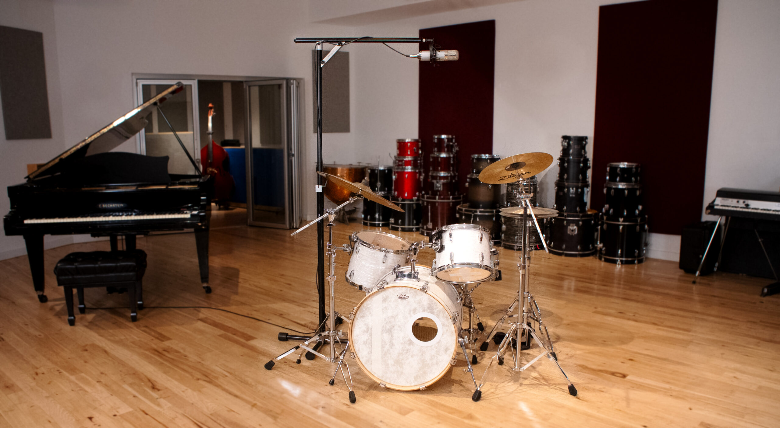 Big Tree Bundle - Base 4 Stands